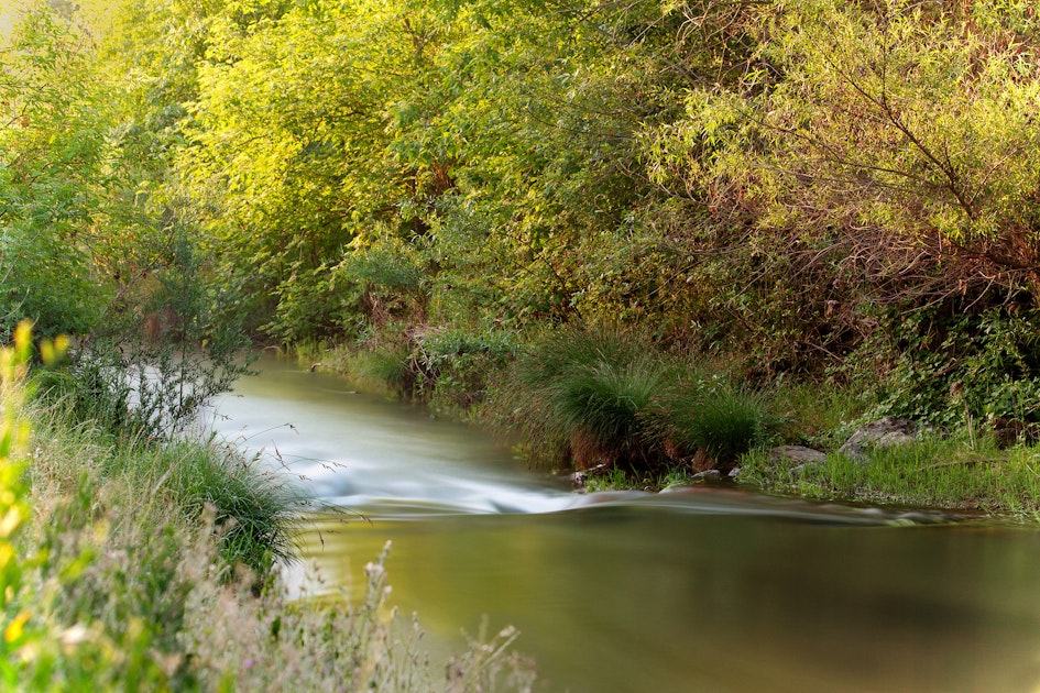 Fly Fishing on the Putah, Putah Creek