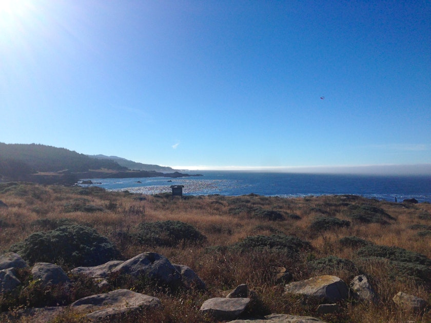 Camp and Dive at Salt Point State Park, Salt Point State Park