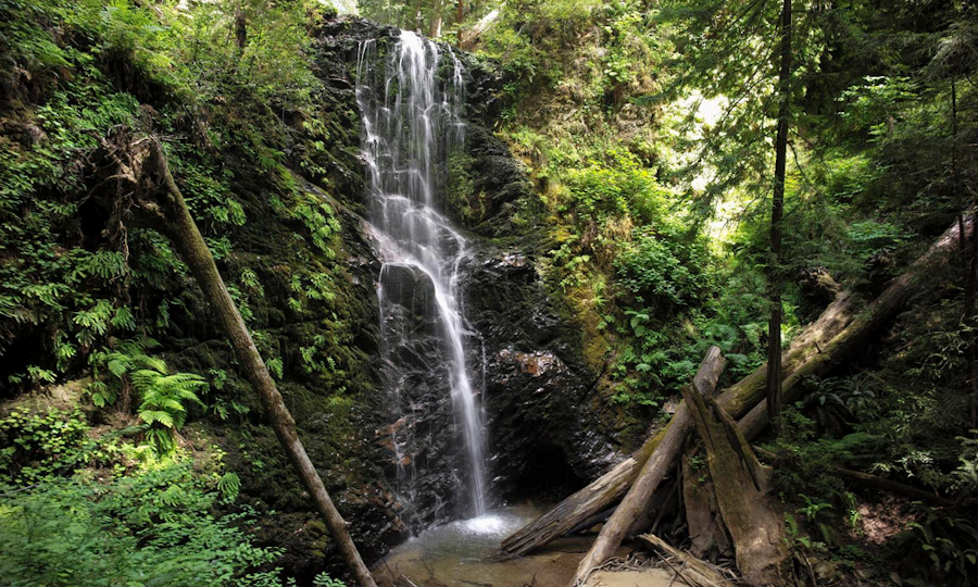 Exploring The Bay Area's Best Waterfalls