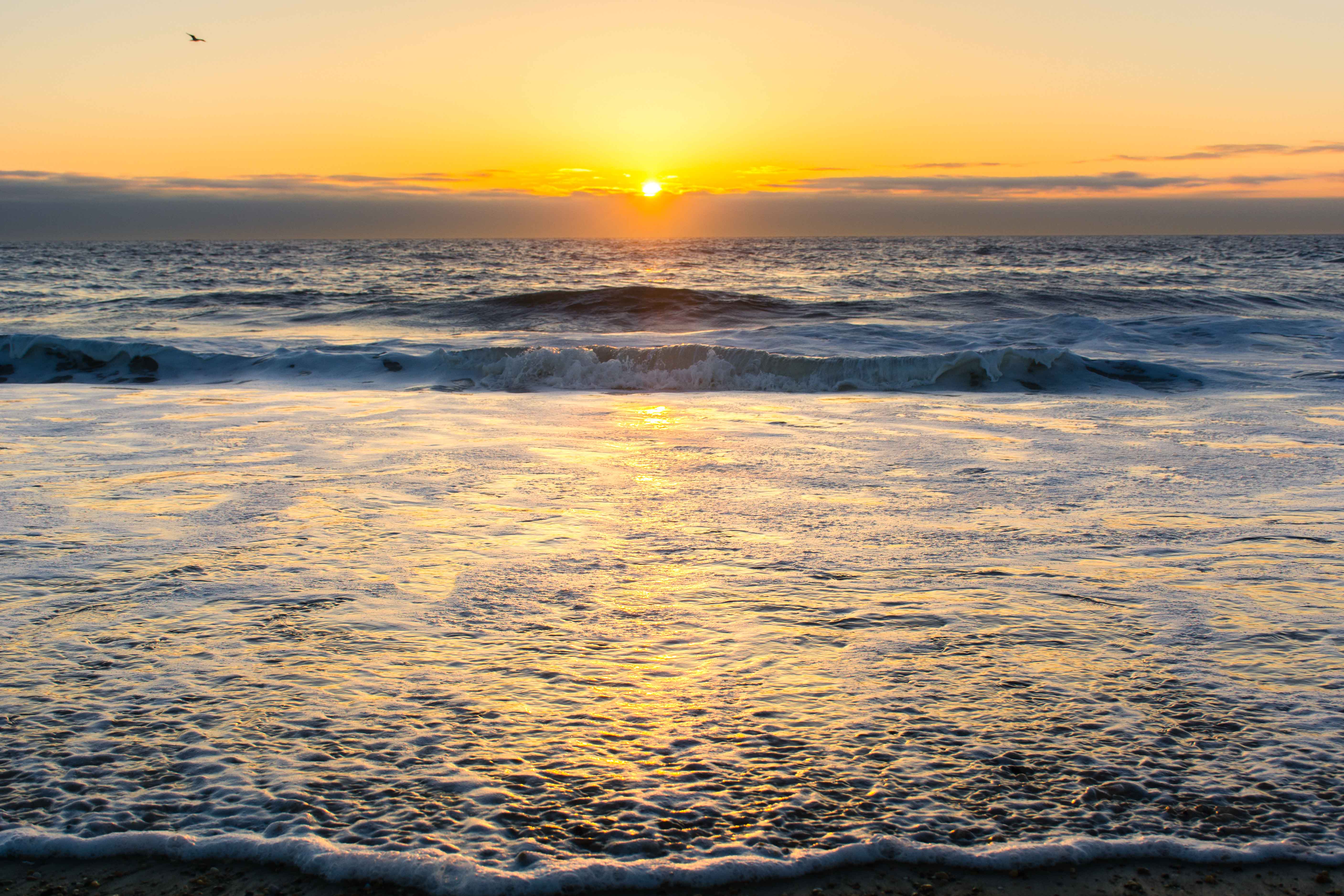 10 Tips to Improve Your Ocean Photography - abbyventure.com