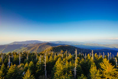 Hike to Clingmans Dome, Clingmans Dome Trailhead