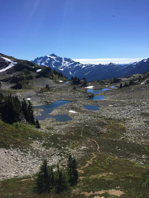 Hike Yellow Aster Butte and Tomyhoi Peak, Yellow Aster Butte Trail