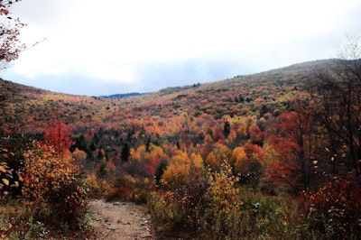 Hike Mount Rogers, Mount Rogers Parking Area