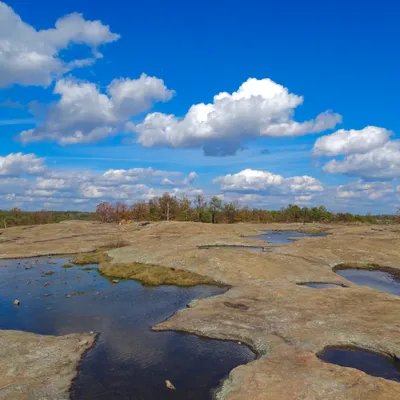 Hike Arabia Mountain, GA, Arabia Mountain Trailhead