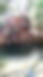 Hike to and Swim at the Bull Pen, AZ, Bull Pen Road - West Clear Creek