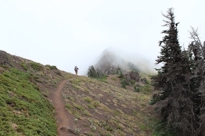 Hike to Klahhane Ridge (Switchback Route), Switchback Trail