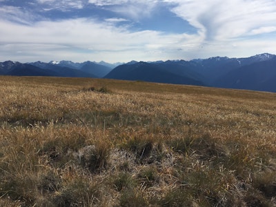 Hike up Hurricane Hill, Hurricane Ridge Trail