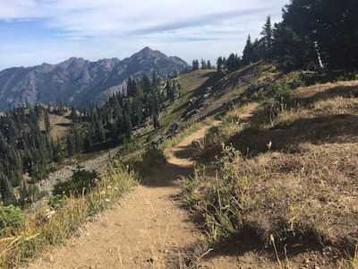 Hike up Hurricane Hill, Hurricane Ridge Trail