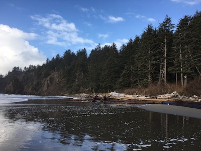 Camp at Third Beach, Third Beach Trailhead