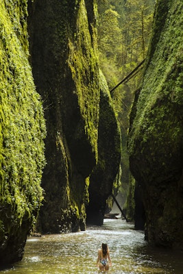 Hike Oneonta Gorge, Oneonta Gorge