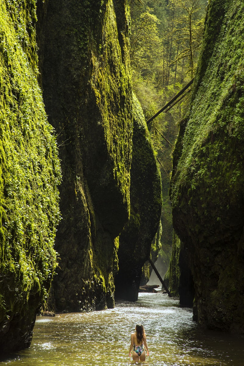 Photo of Hike Oneonta Gorge