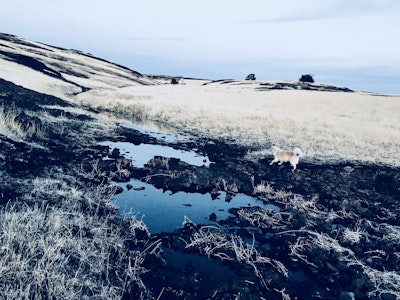 Hike to Phantom Falls, California