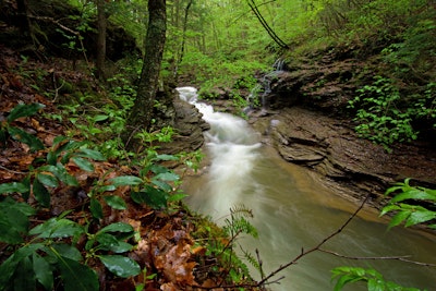 Explore Rock Run, Rock Run