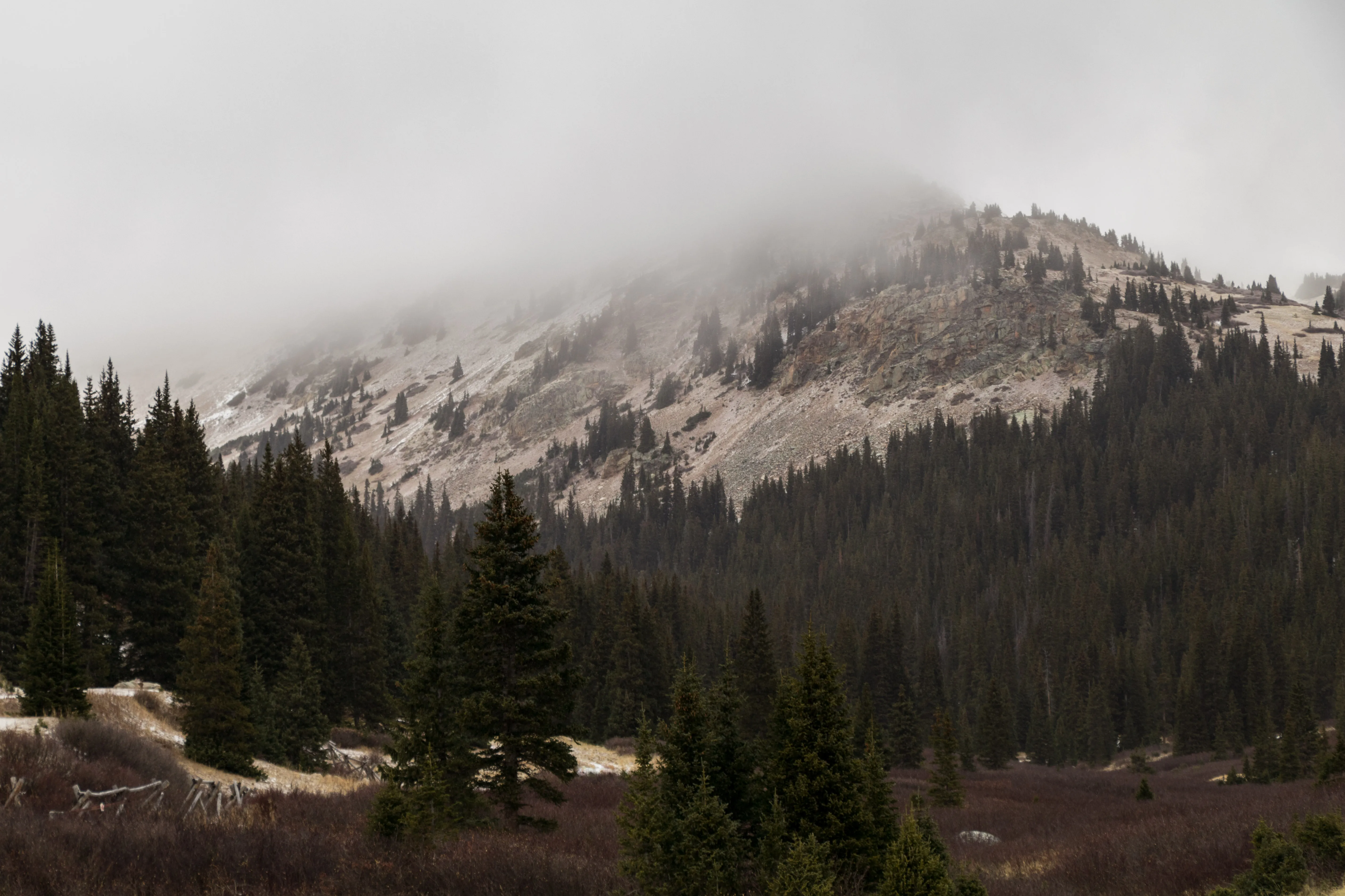 Photo of Camp at Jones Pass