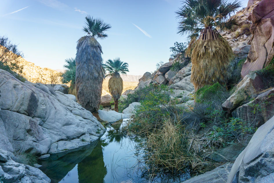 Hike Sheep Canyon, San Diego County, California