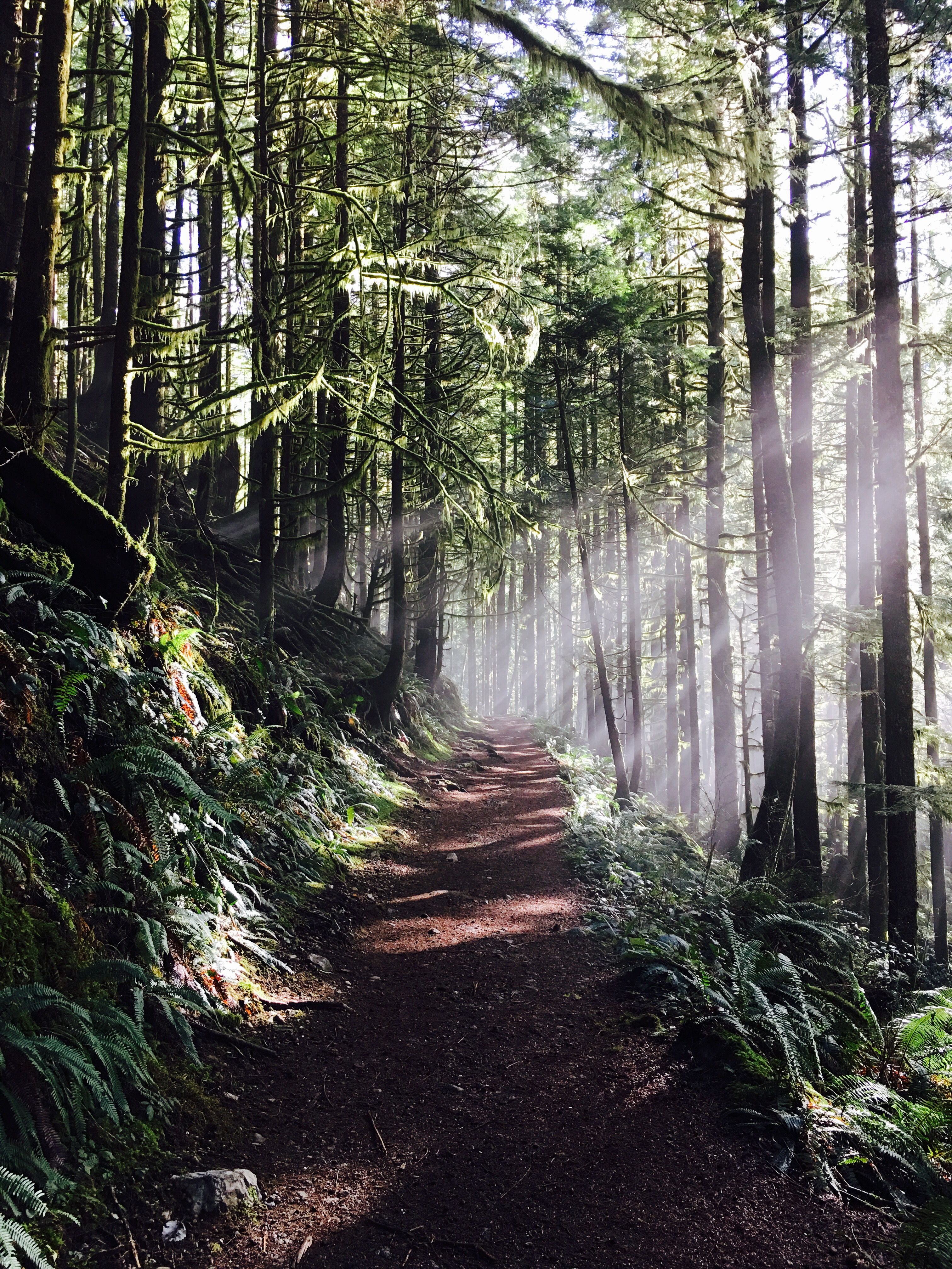 Hike the Boulder River Trail, Arlington, Washington