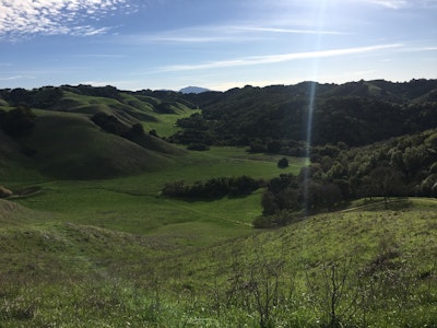 Hiking Briones Park's Lafayette Ridge , Lafayette Ridge Trail