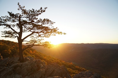 Explore Ravens Roost Overlook, Ravens Roost Overlook