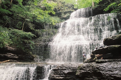 Hike the Machine Falls Loop at Short Springs Natural Area, Machine ...