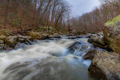Hike Difficult Run in Great Falls, Difficult Run