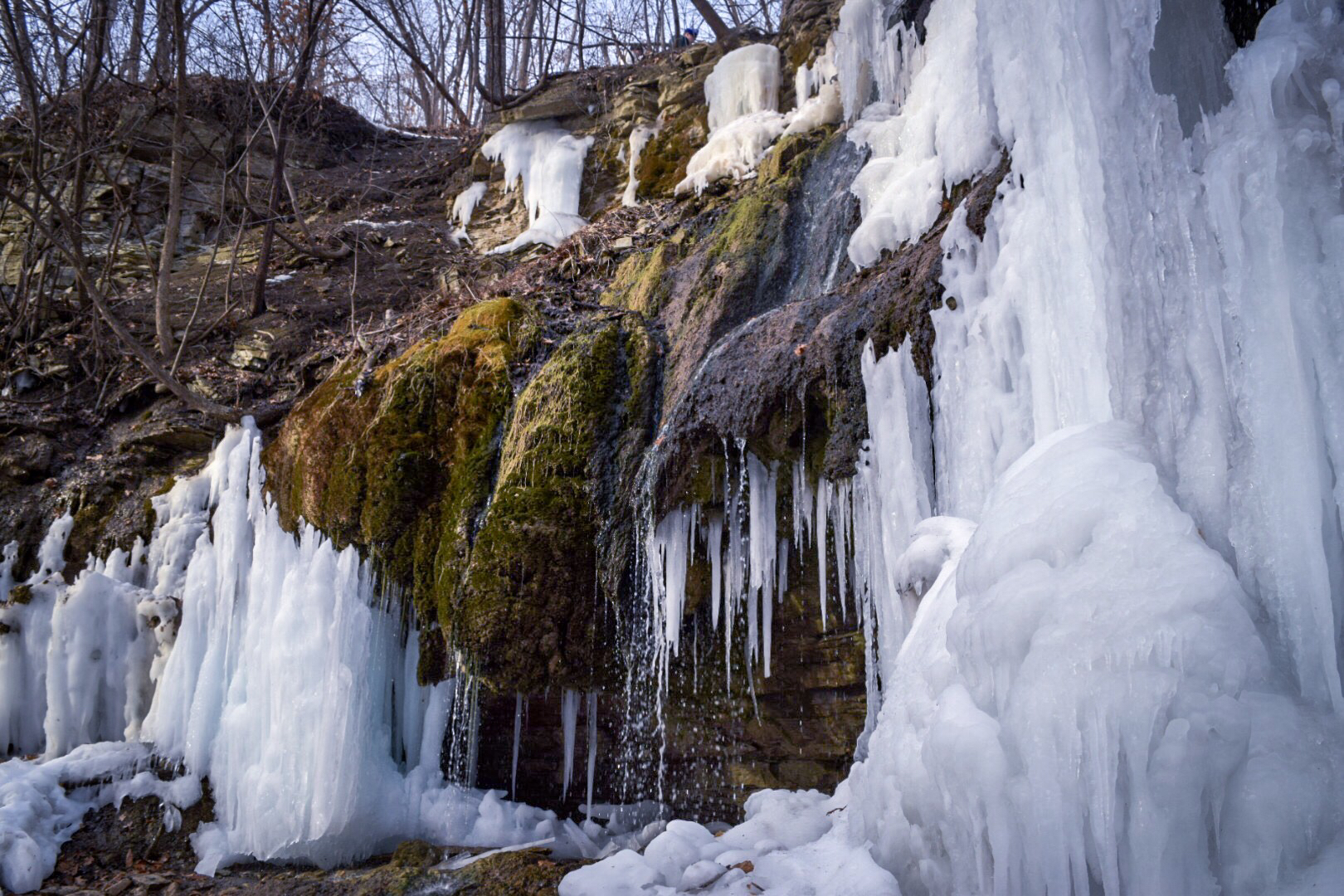 Shadow Falls, Saint Paul, Minnesota