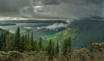 Hike to Mt. Walker North & South Viewpoints, Mt Walker Trail #894