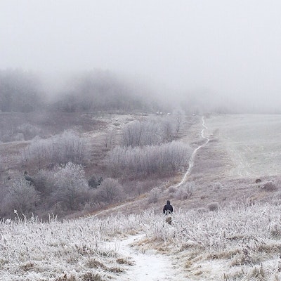 Hike Max Patch Mountain, Max Patch Mountain Trailhead