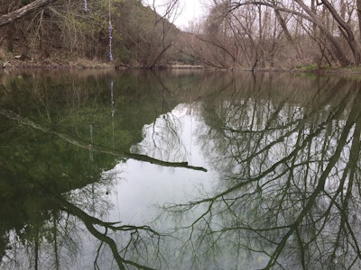 Hike through St. Edwards Park , St. Edwards Trail