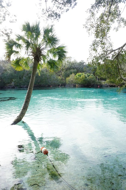 Camp at Alexander Springs, Alexander Springs Recreation Area