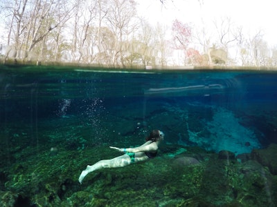 Swim at Ginnie Springs, Ginnie Springs Outdoors Campground