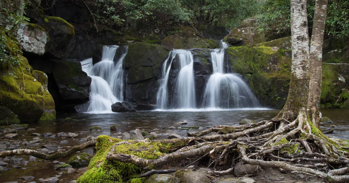Hike to Indian Flat Falls via Middle Prong Trail, Upper Tremont Road