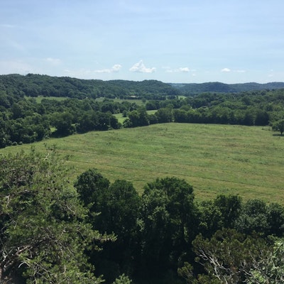 Hike the Bluff Overlook Trail, Harpeth River State Park