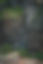 Explore Jump Creek Falls, Jump Creek Falls Trail