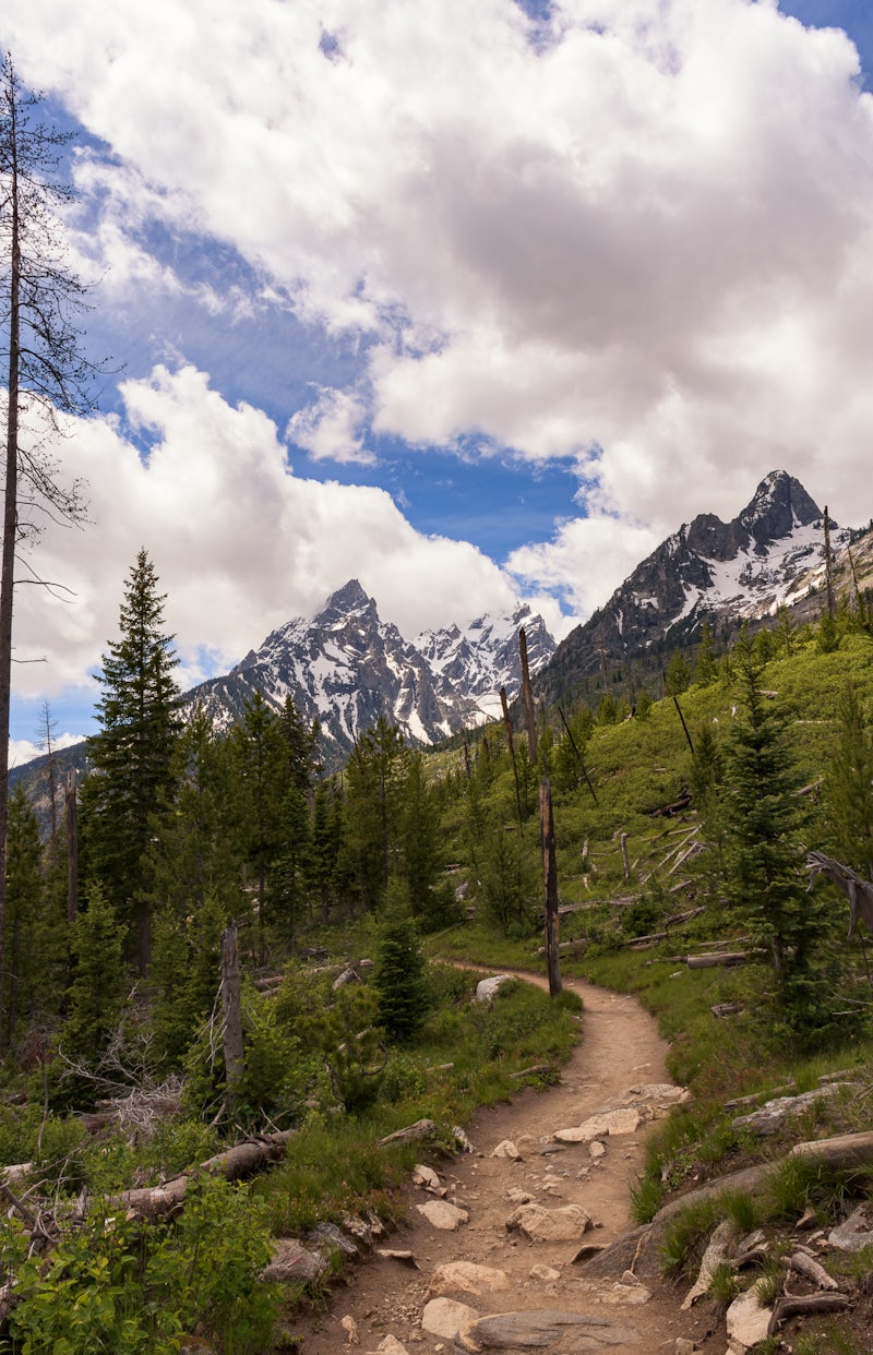 Photo of String Lake Loop, Grand Teton NP