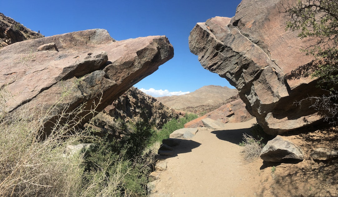 Explore the Indian Canyons in Palm Springs , Palm Springs, California