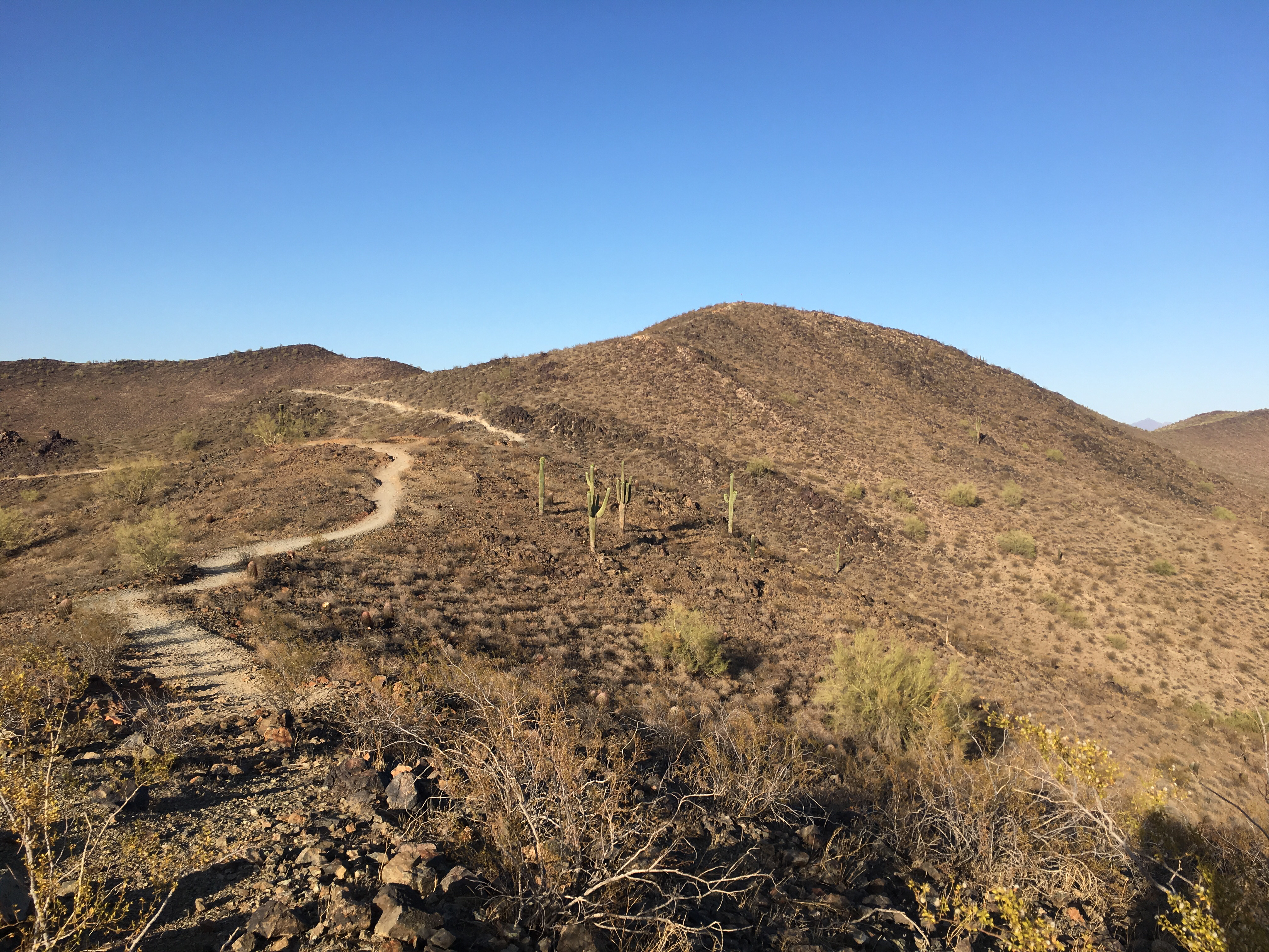 Arrowhead Point Loop, Glendale, Arizona