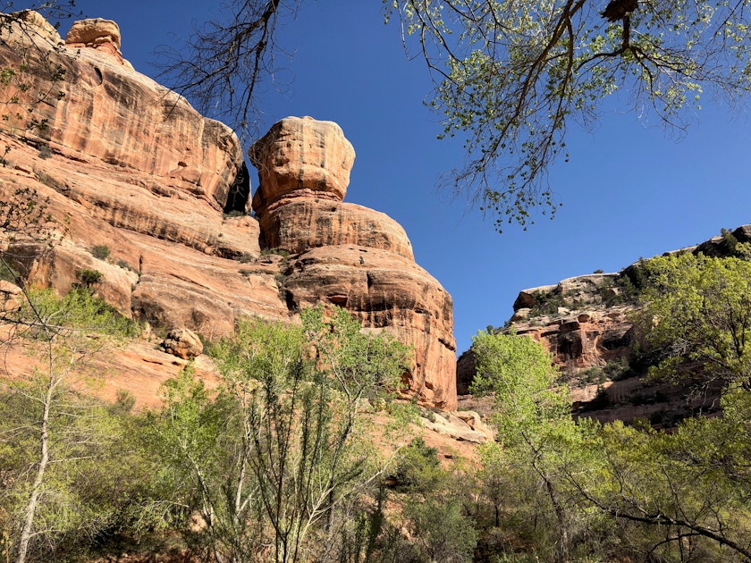 Backpack Great Gulch: Kane Gulch to Bullet Canyon , Kane Gulch Trailhead