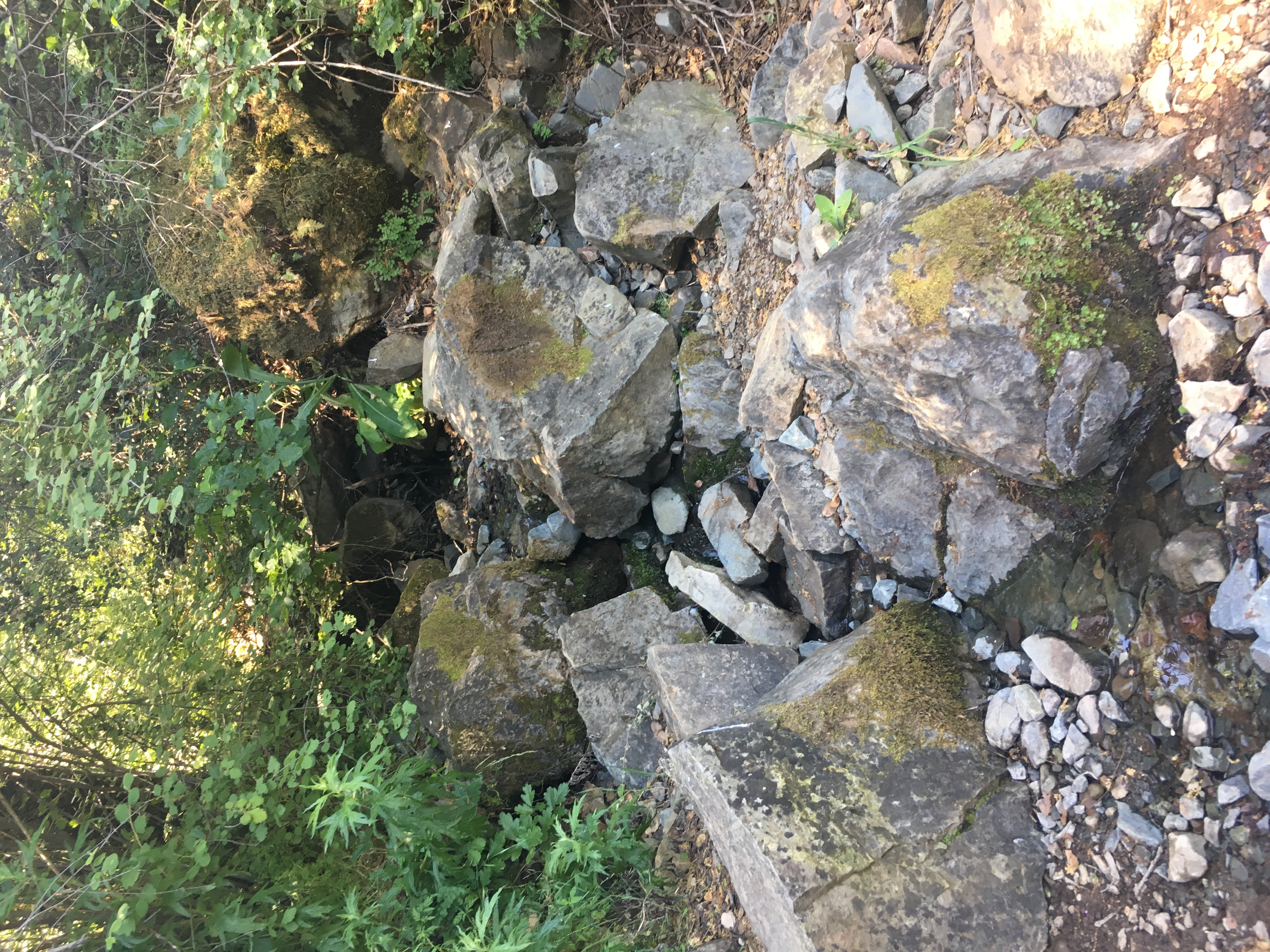 Hike the Waterfalls of Mount Diablo Loop Trail , Clayton, California