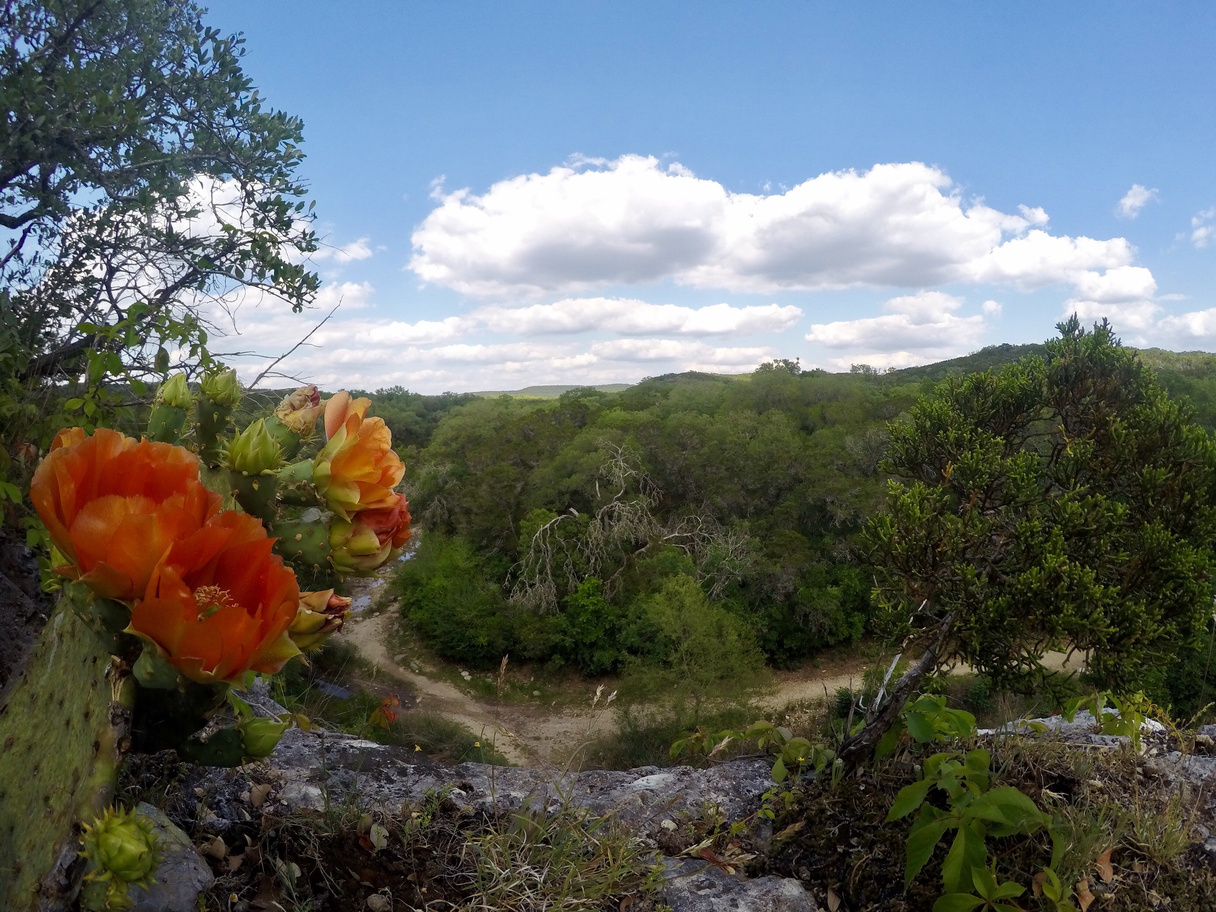 Government Canyon Loop, San Antonio, Texas