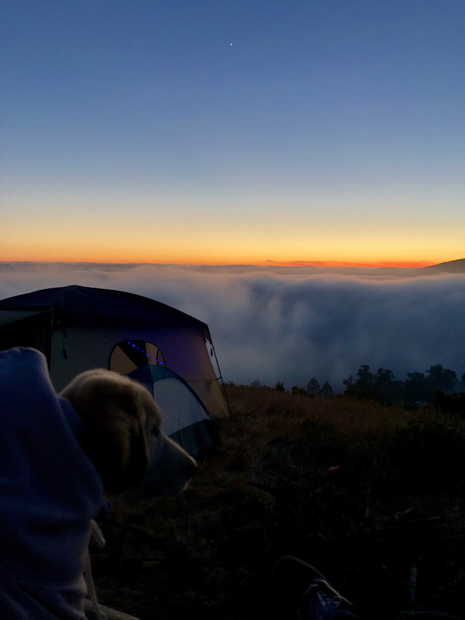 Photos: Camp on Prewitt Ridge, Big Sur, California