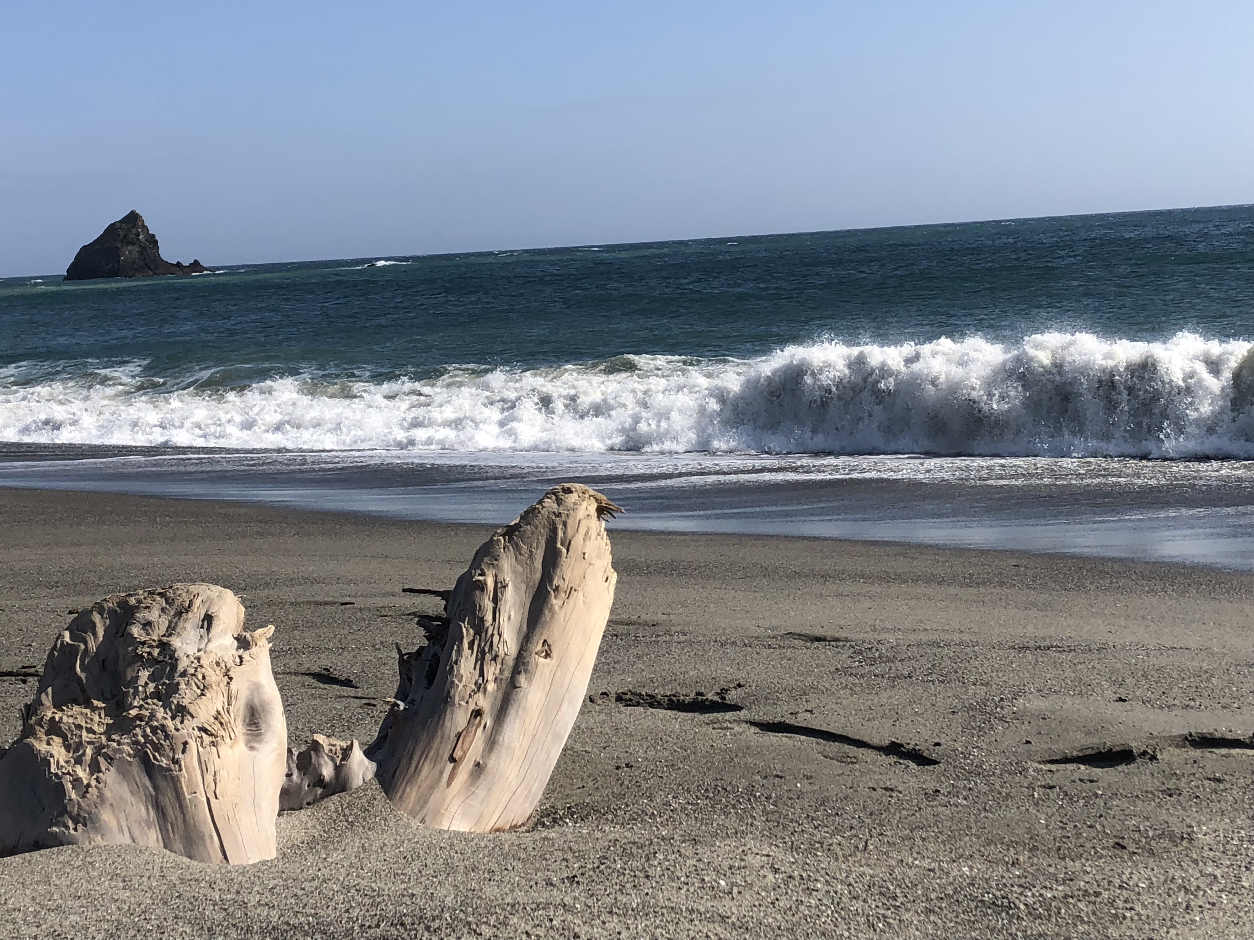 Photo of Explore Navarro Beach