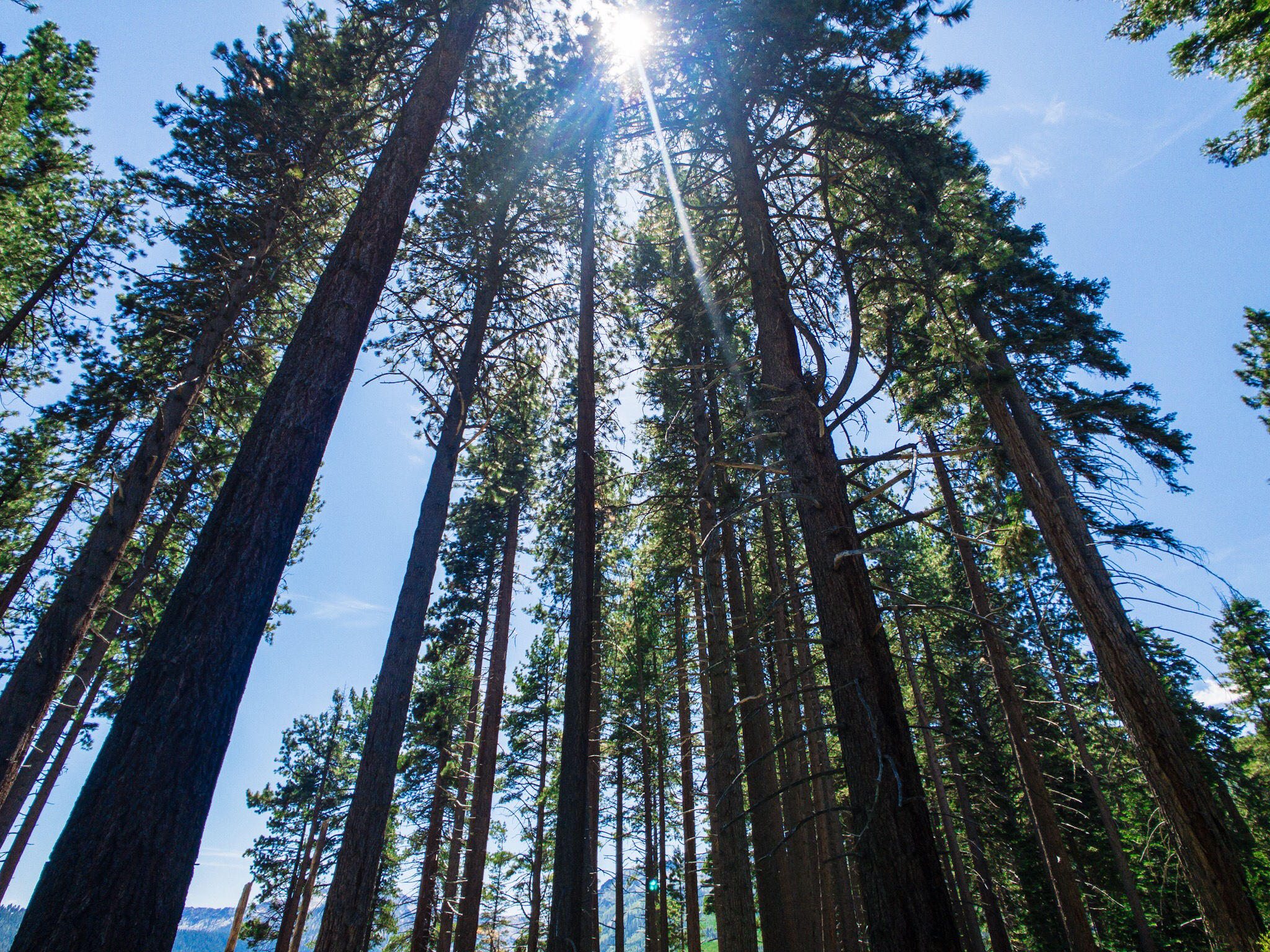 Hike the Fallen Leaf Lake Trail , South Lake Tahoe, California