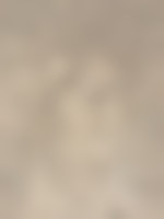 Explore Dinosaur Tracks in Leander, South Fork San Gabriel River