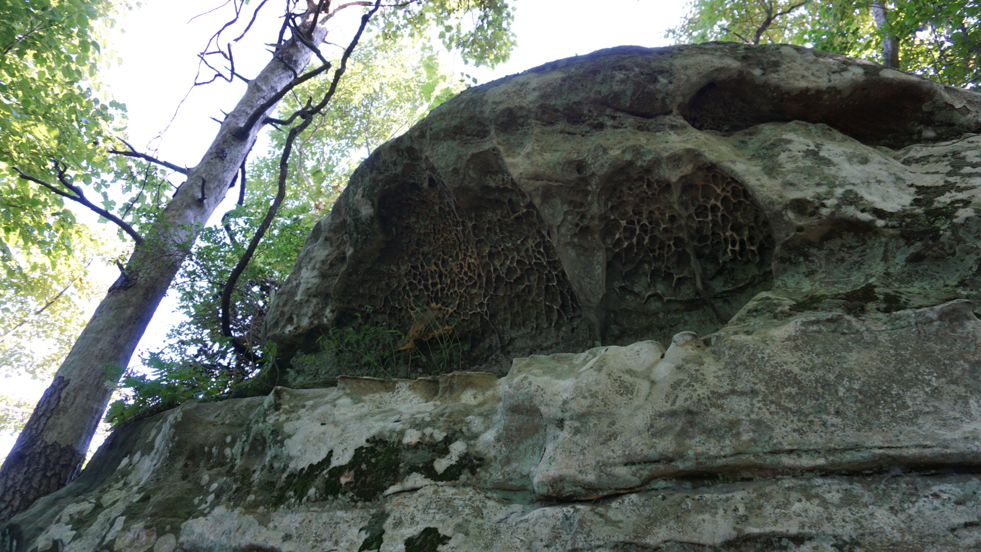 Photos: Hike the Pinnacles in Berea, Berea, Kentucky