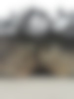 Explore the Hug Point Waterfall and Cave, Hug Point State Park