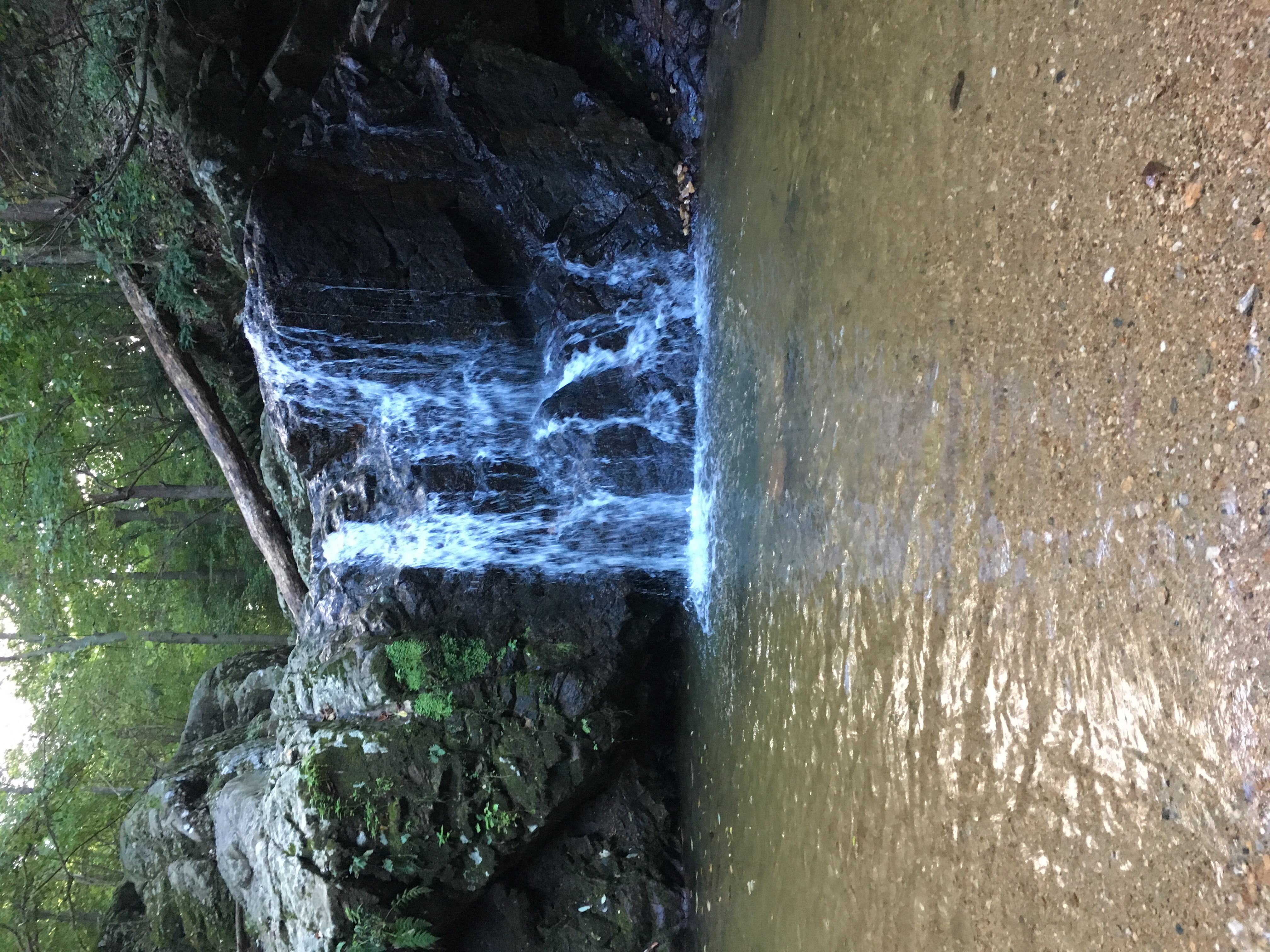 Photos: Cascade Falls Loop, Elkridge, Maryland