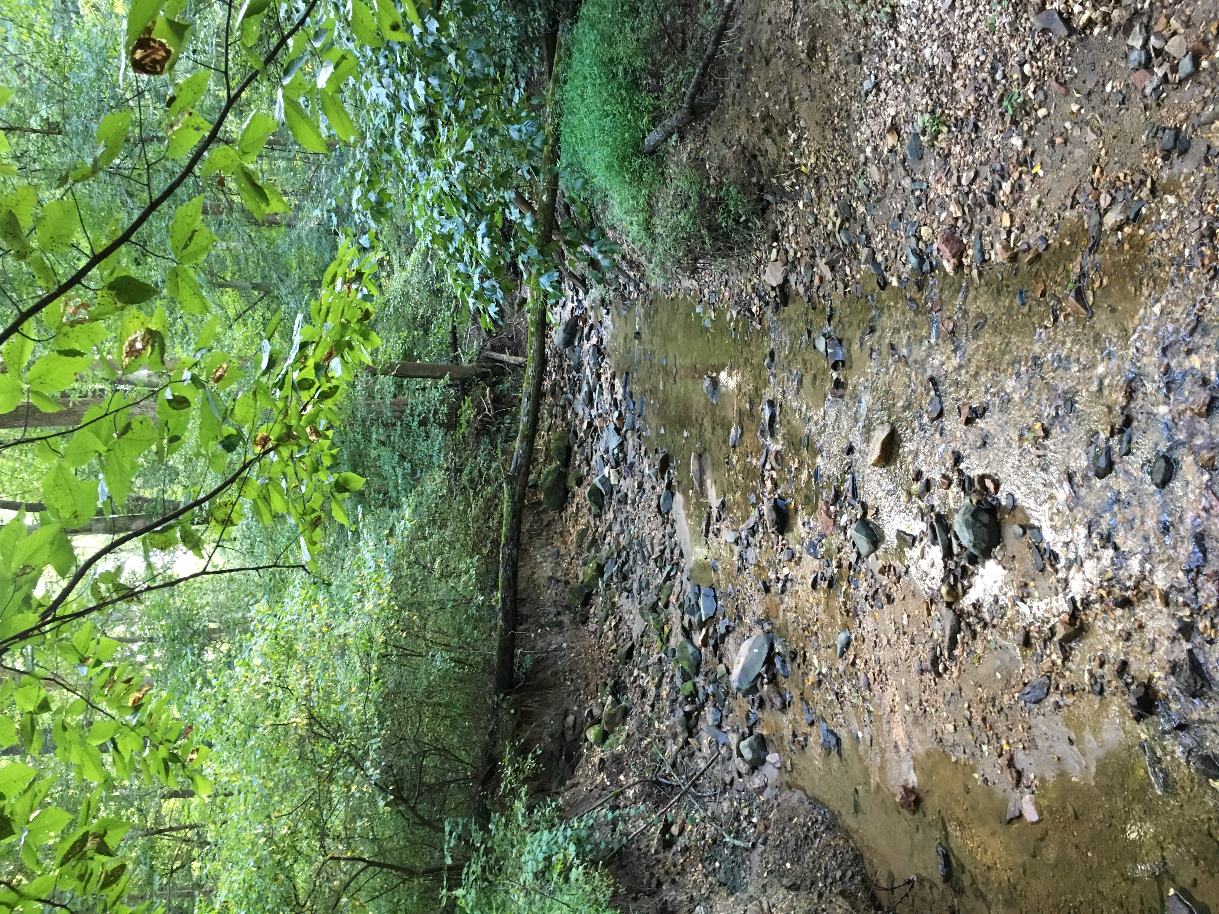 Photos: Cascade Falls Loop, Elkridge, Maryland