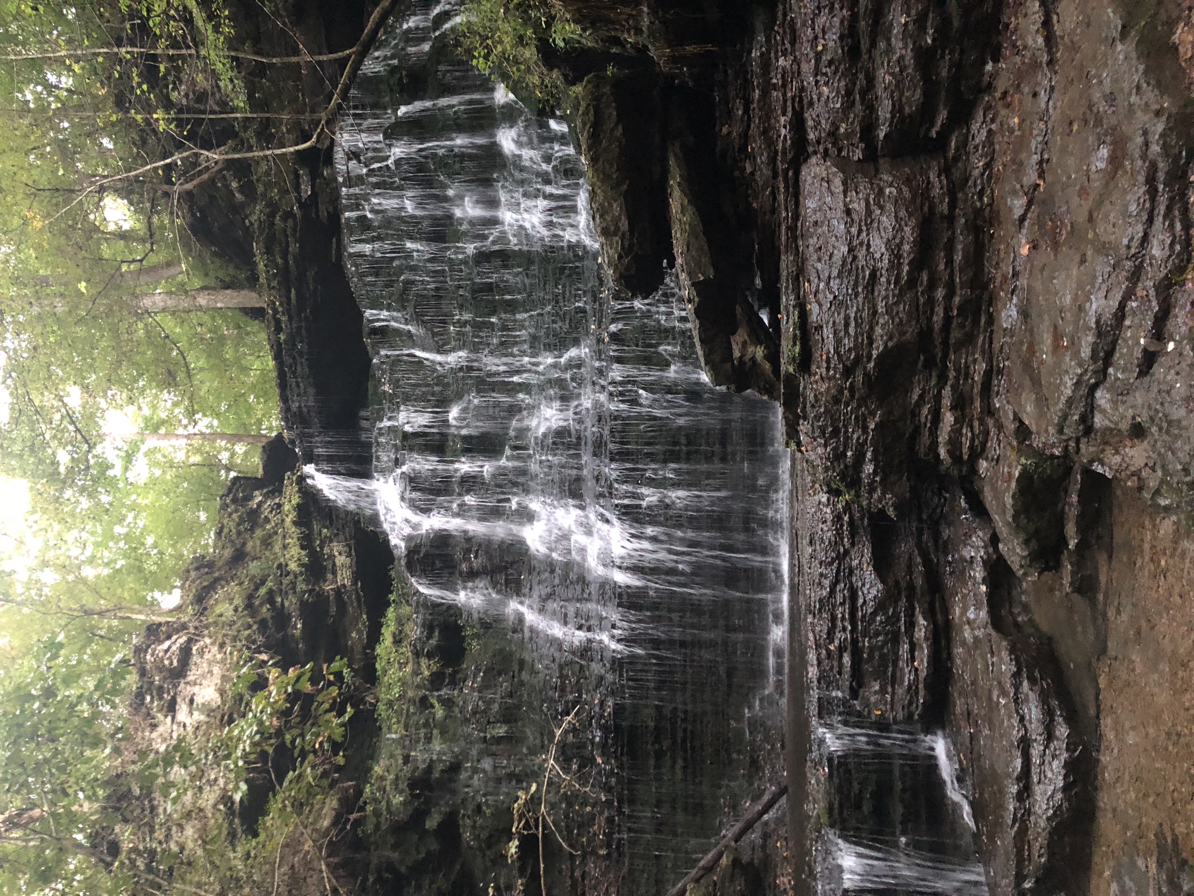Photos: Machine Falls Loop at Short Springs Natural Area, Tullahoma ...
