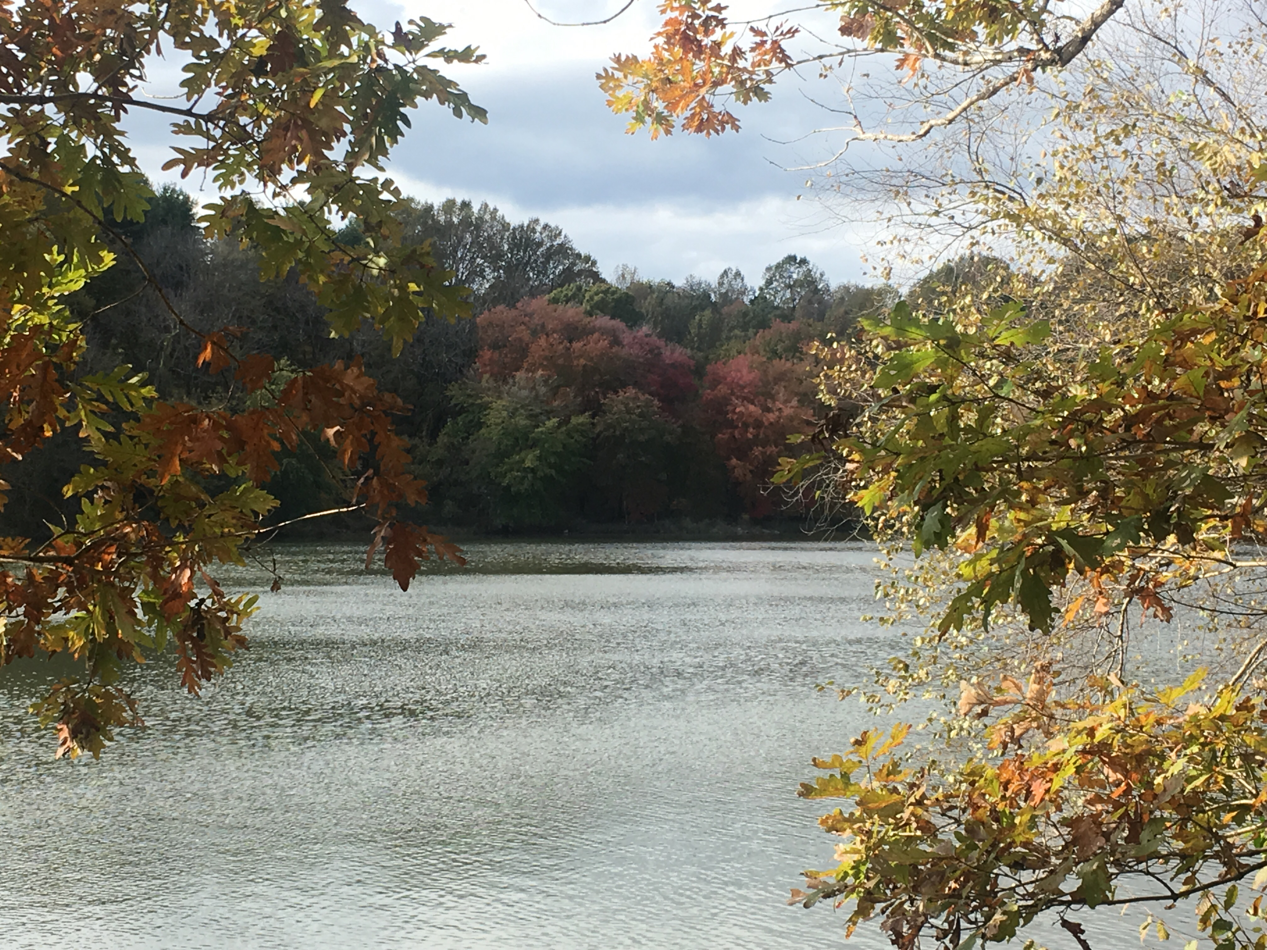 Hike, Bike, or Run the Lakeside Trail and Muncaster Mill Trail, Derwood ...