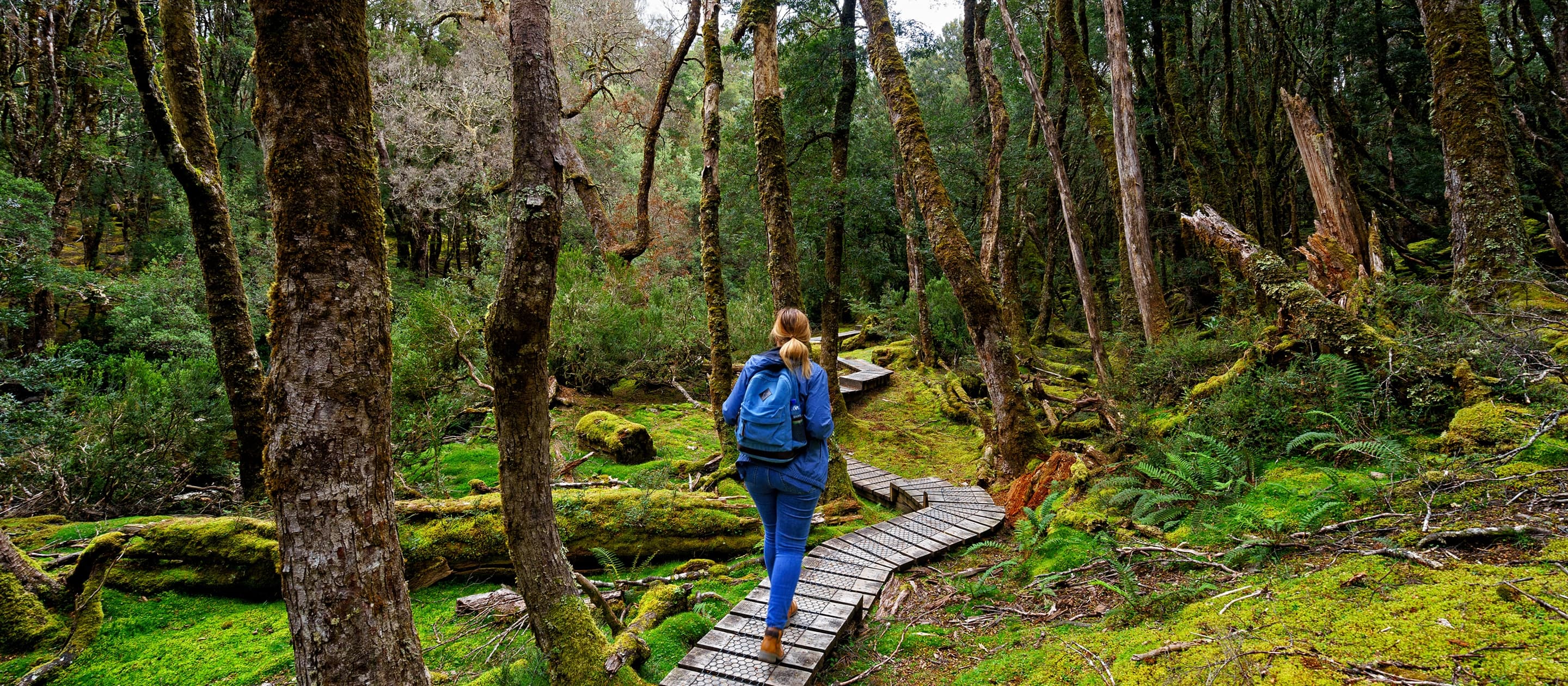 The best Hiking in and near Hobart, Tasmania